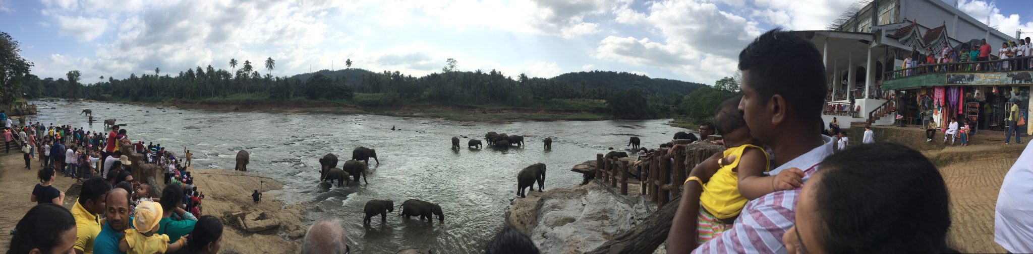 Sri-Lanka – Ravan now lives in India! | Tooth Mountain Farms