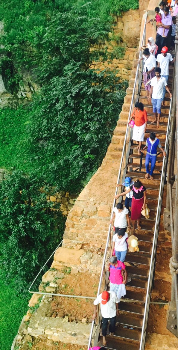 Sri-Lanka – Ravan now lives in India! | Tooth Mountain Farms